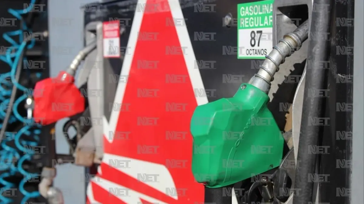 Magna vs Premium: cuál gasolina conviene más según expertos